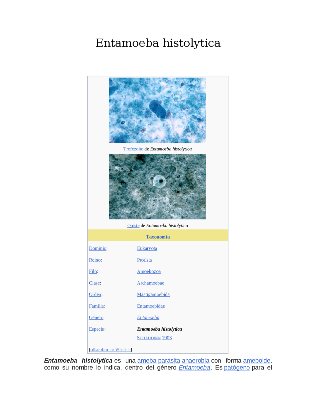 Morfologia Da Entamoeba Histolytica ENTAMOEBA HISTOLYTICA : Ciclo De
