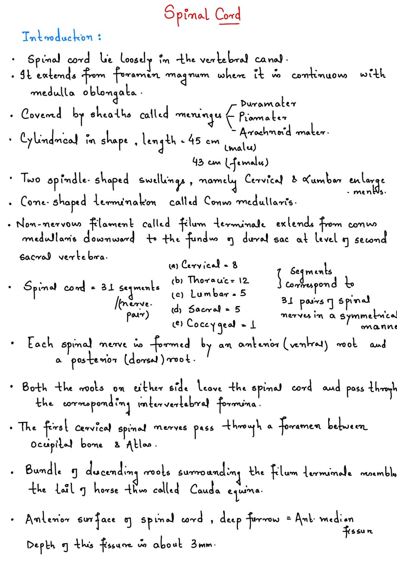 Physiology And Anatomy ; Spinal Cord Notes | Study notes Nursing | Docsity