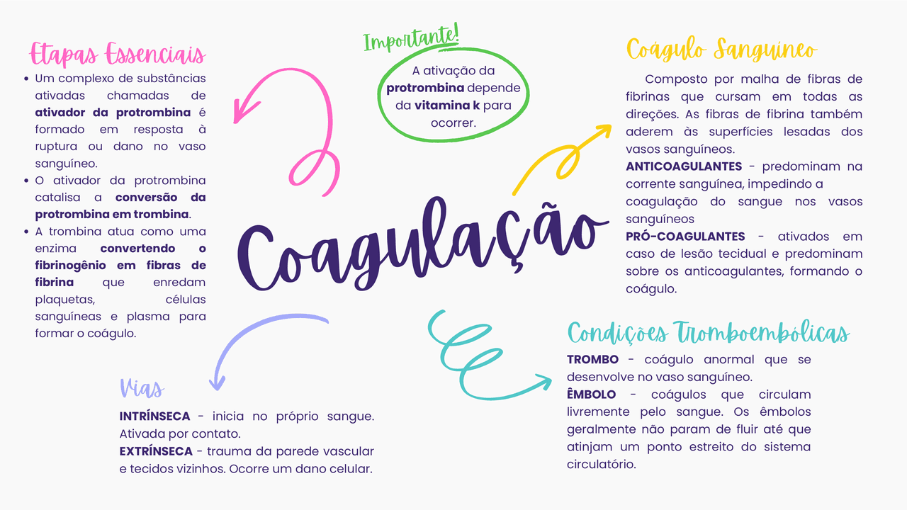 Mapa Mental - Coagulação Sanguínea | Esquemas Fisiologia Humana | Docsity