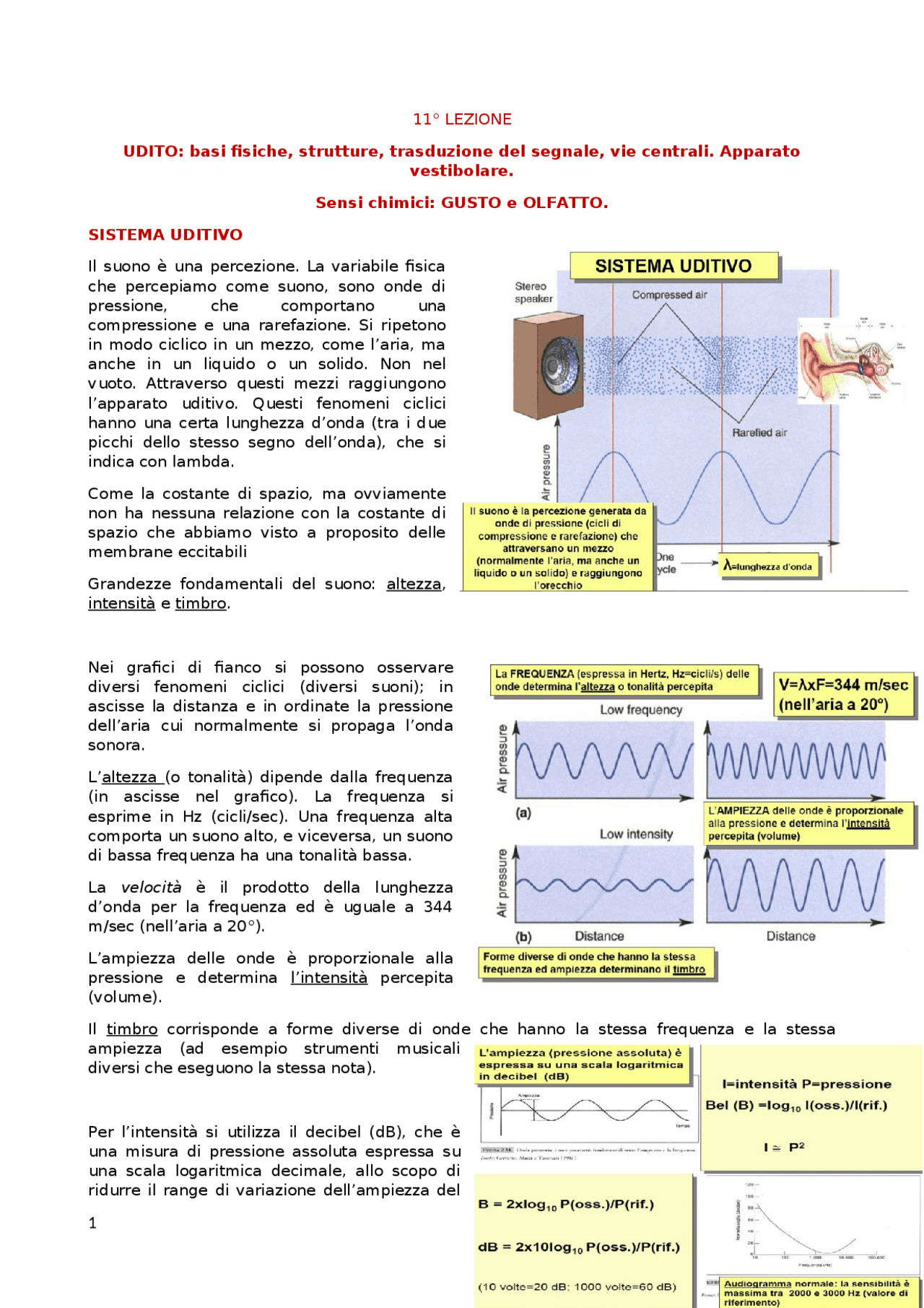 Fisiologia Del Sistema Nervoso Sbobinature Di Fisiologia Umana Docsity