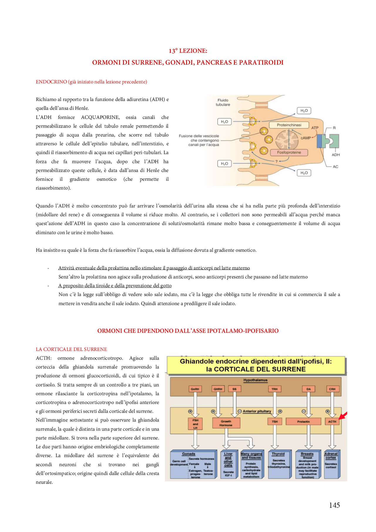 Fisiologia Del Sistema Nervoso Sbobinature Di Fisiologia Umana Docsity