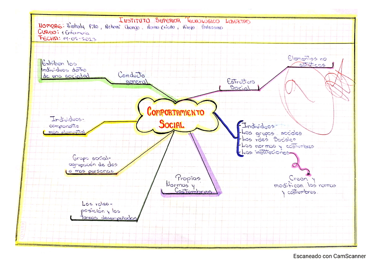 comportamiento social | Esquemas y mapas conceptuales de Desarrollo ...