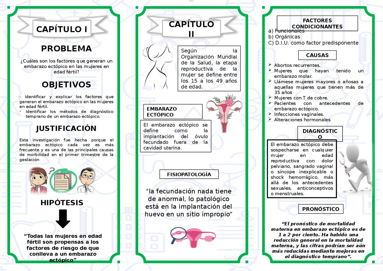 Embriologia Tripticos Resúmenes De Embriología Docsity