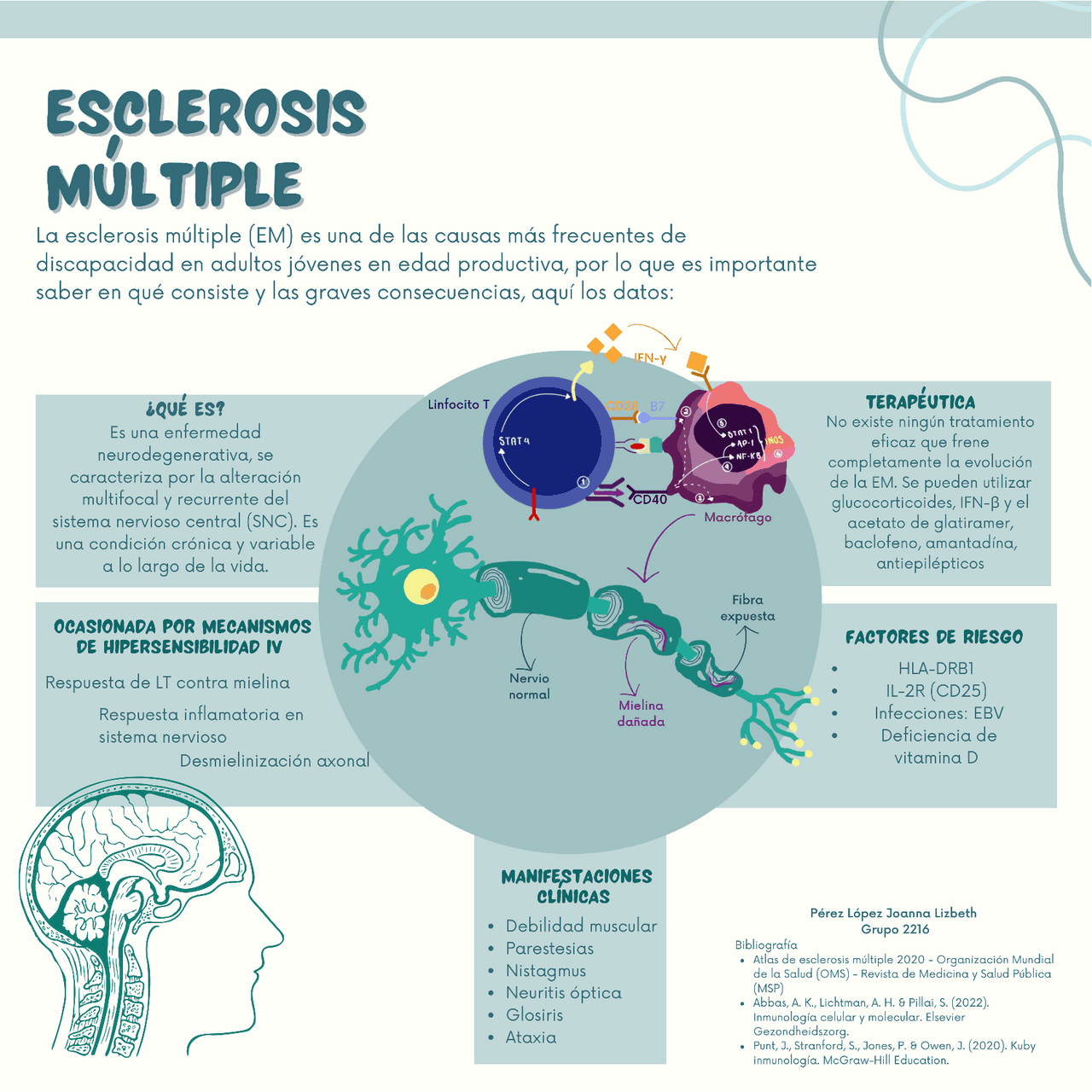 Esclerosis múltiple infografía | Esquemas y mapas conceptuales de ...