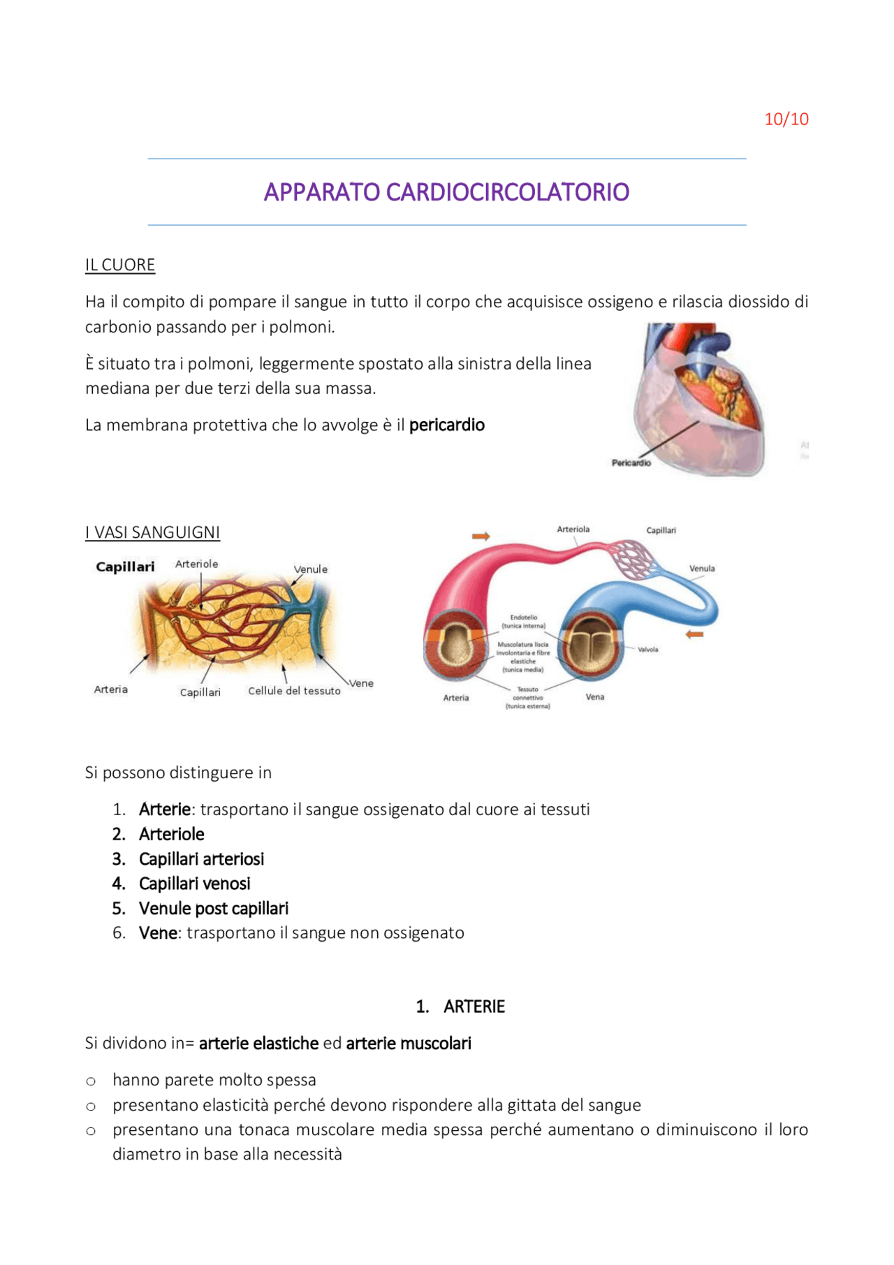 Appunti Apparato Circolatorio Appunti Di Anatomia Docsity