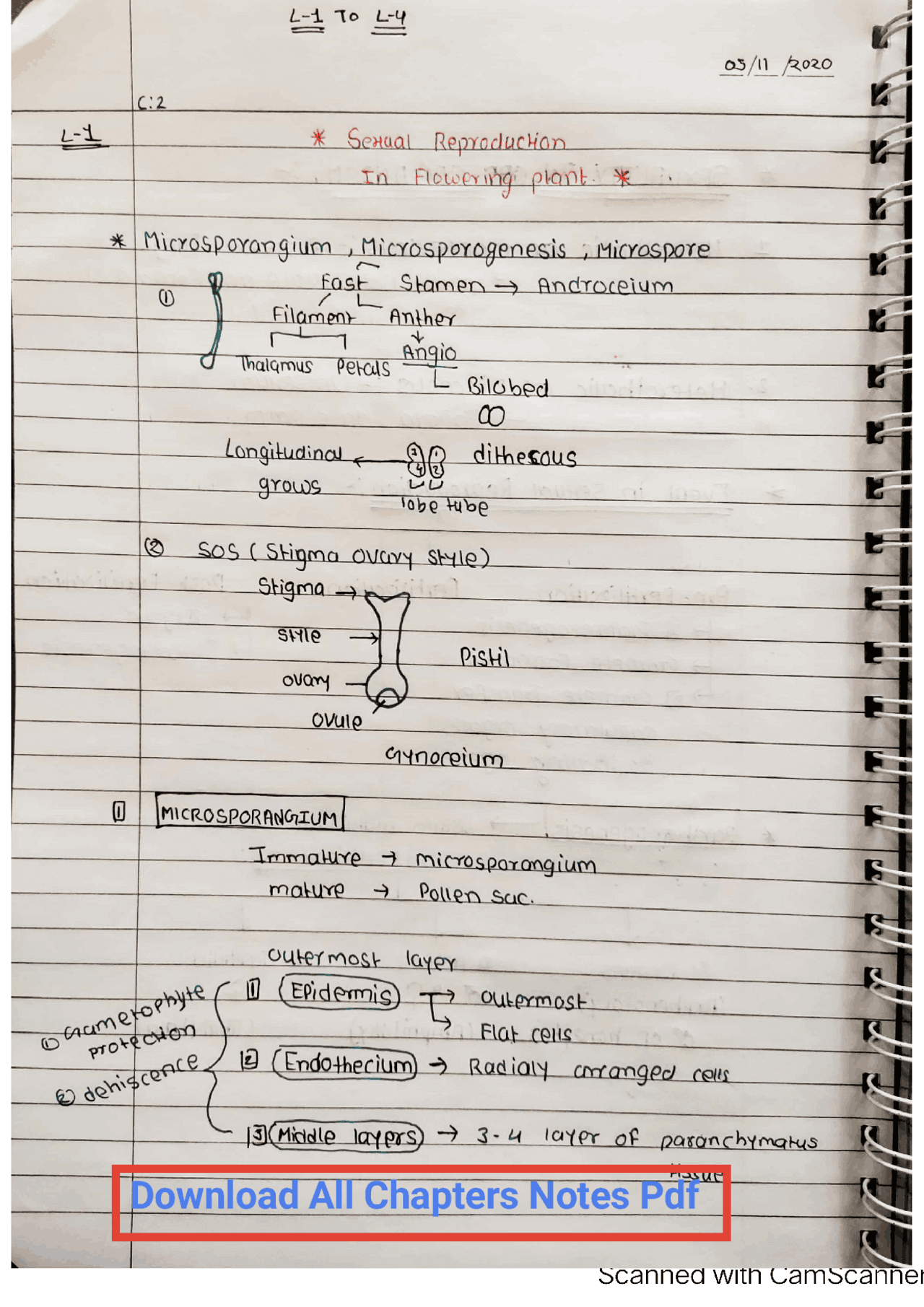 Sexual Reproduction in Flowering Plants notes.pdf | Lecture notes ...