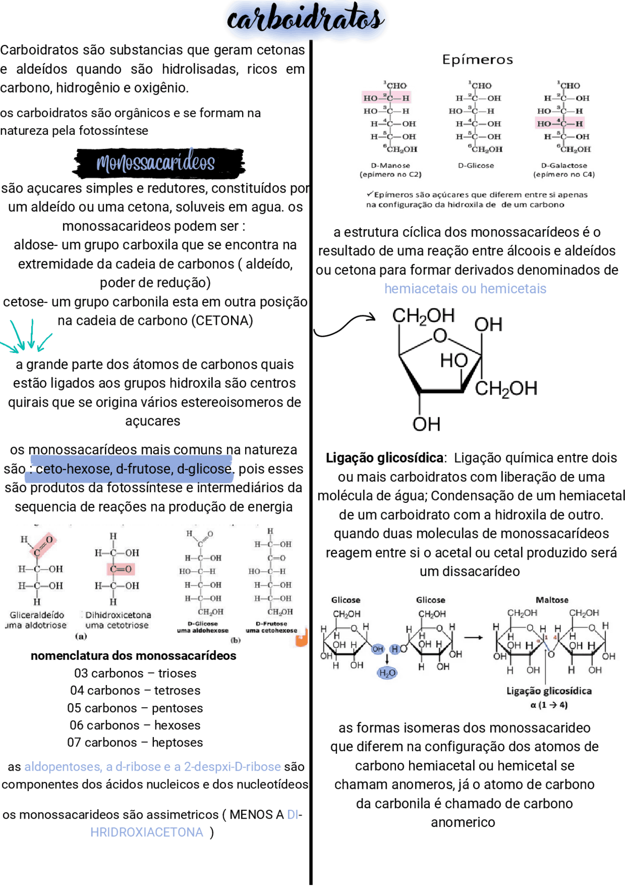 Resumos de Bioquimica | Esquemas Biologia | Docsity