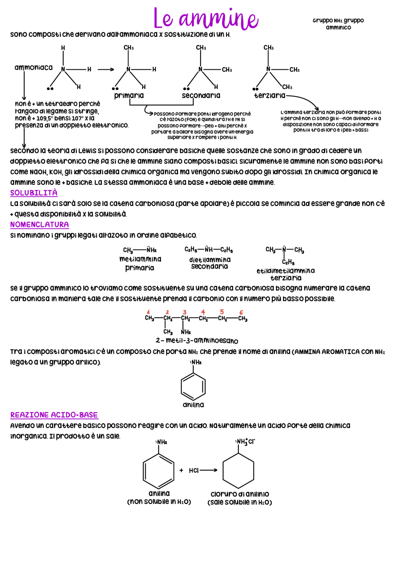 Le ammine e le ammidi | Schemi e mappe concettuali di Chimica organica ...