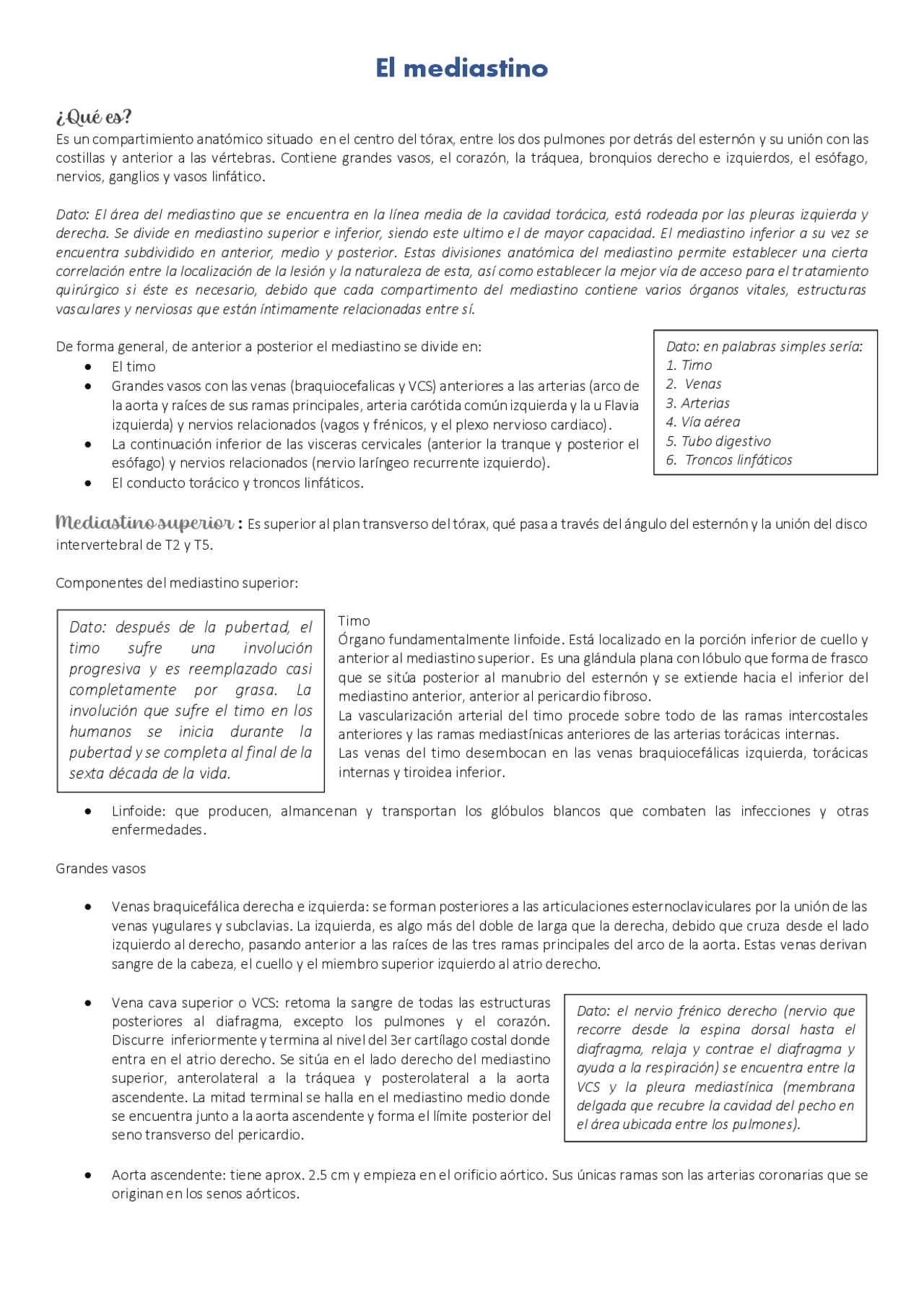 Mediastino Anatomía Irritan Resúmenes De Anatomía Docsity
