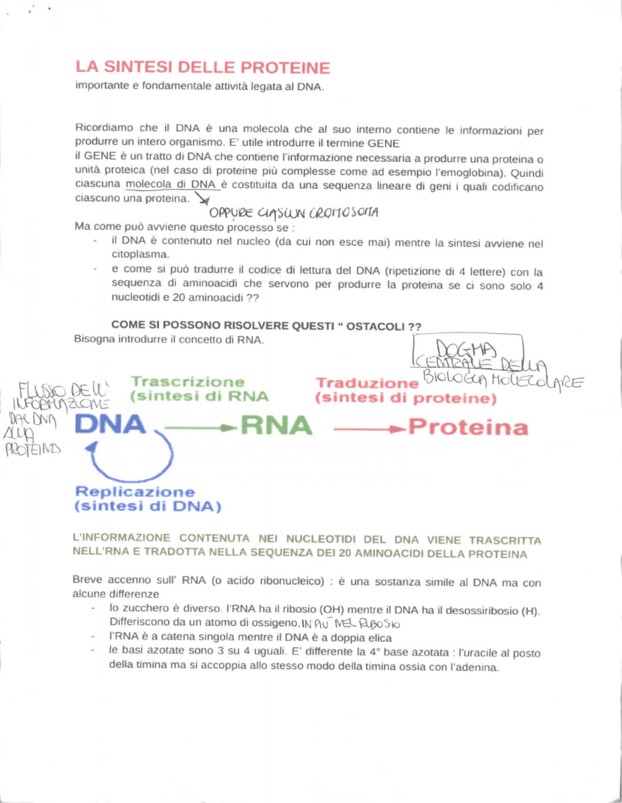La Sintesi Delle Proteine Dna Schemi E Mappe Concettuali Di