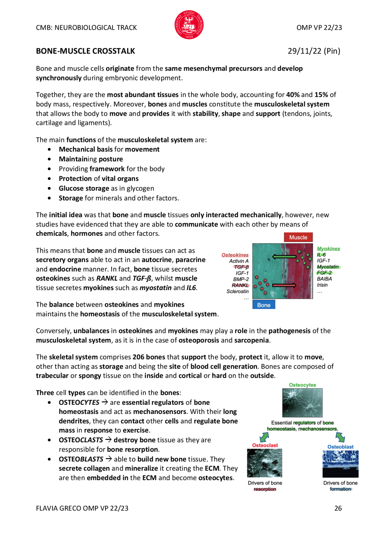 OMP (Costelli) | Muscular Pathology Visiting Prof Pin pt2 22_23 ...