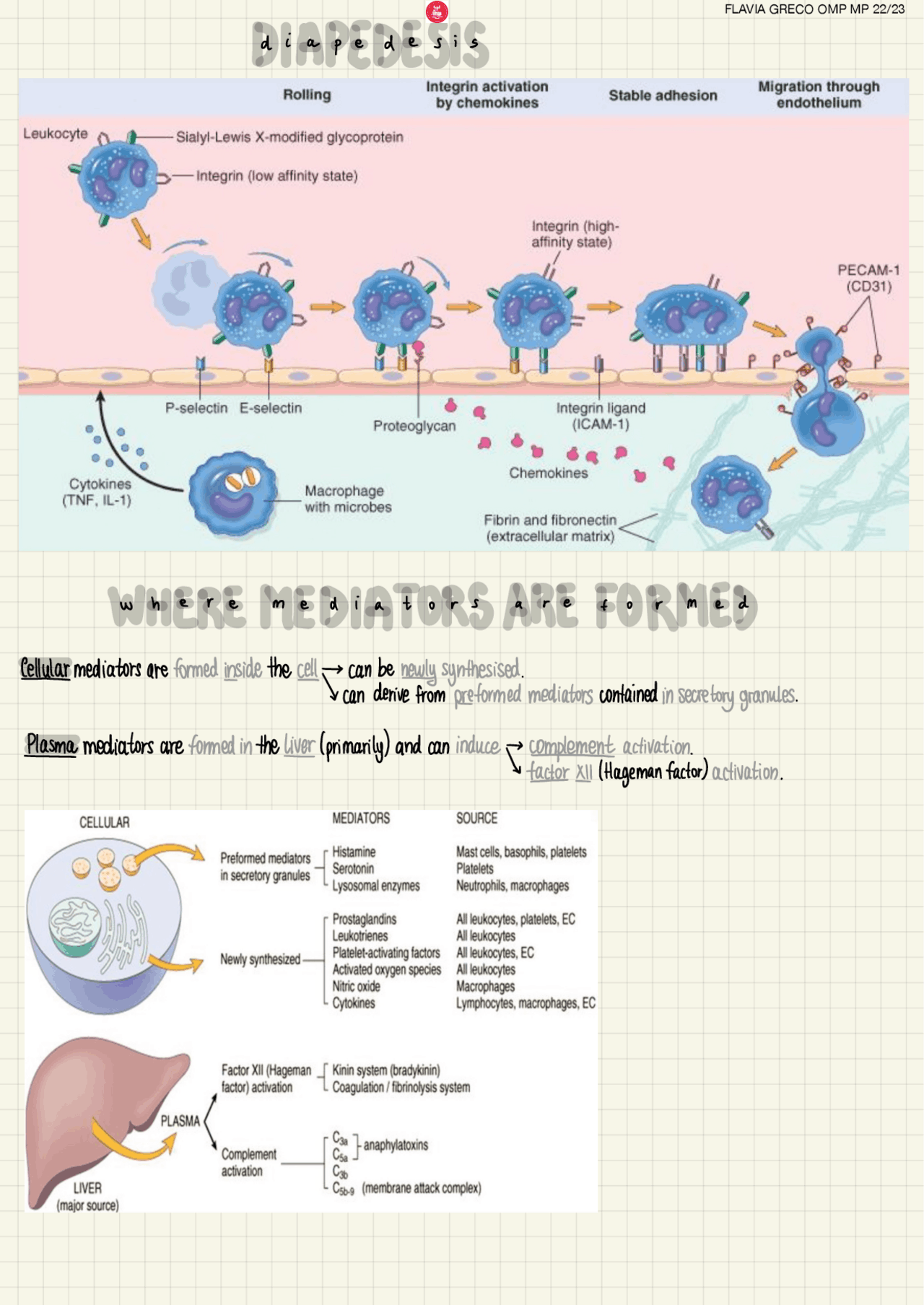 OMP (Costelli) | Molecular Pathology Costelli pt2 22_23 | Sbobinature ...