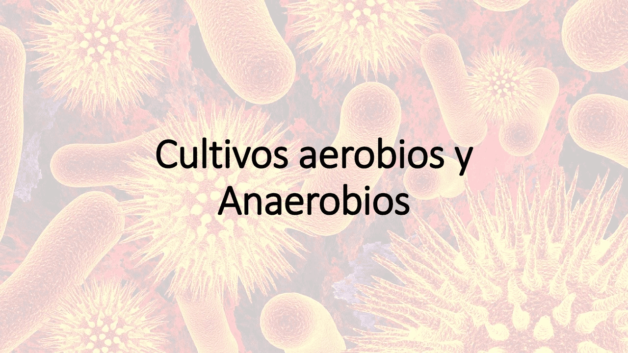 Cultivos aerobicos y anaerobicos | Diapositivas de Biología Molecular ...
