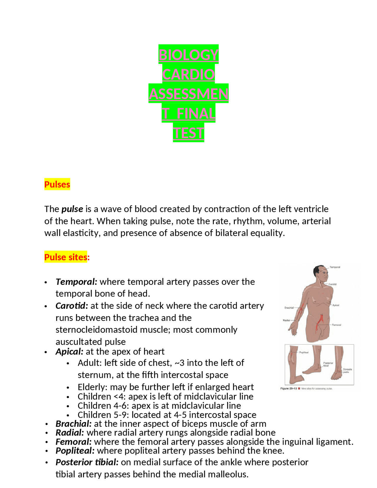 BIOLOGY CARDIO ASSESSMENT FINAL TEST | Exams Biology | Docsity