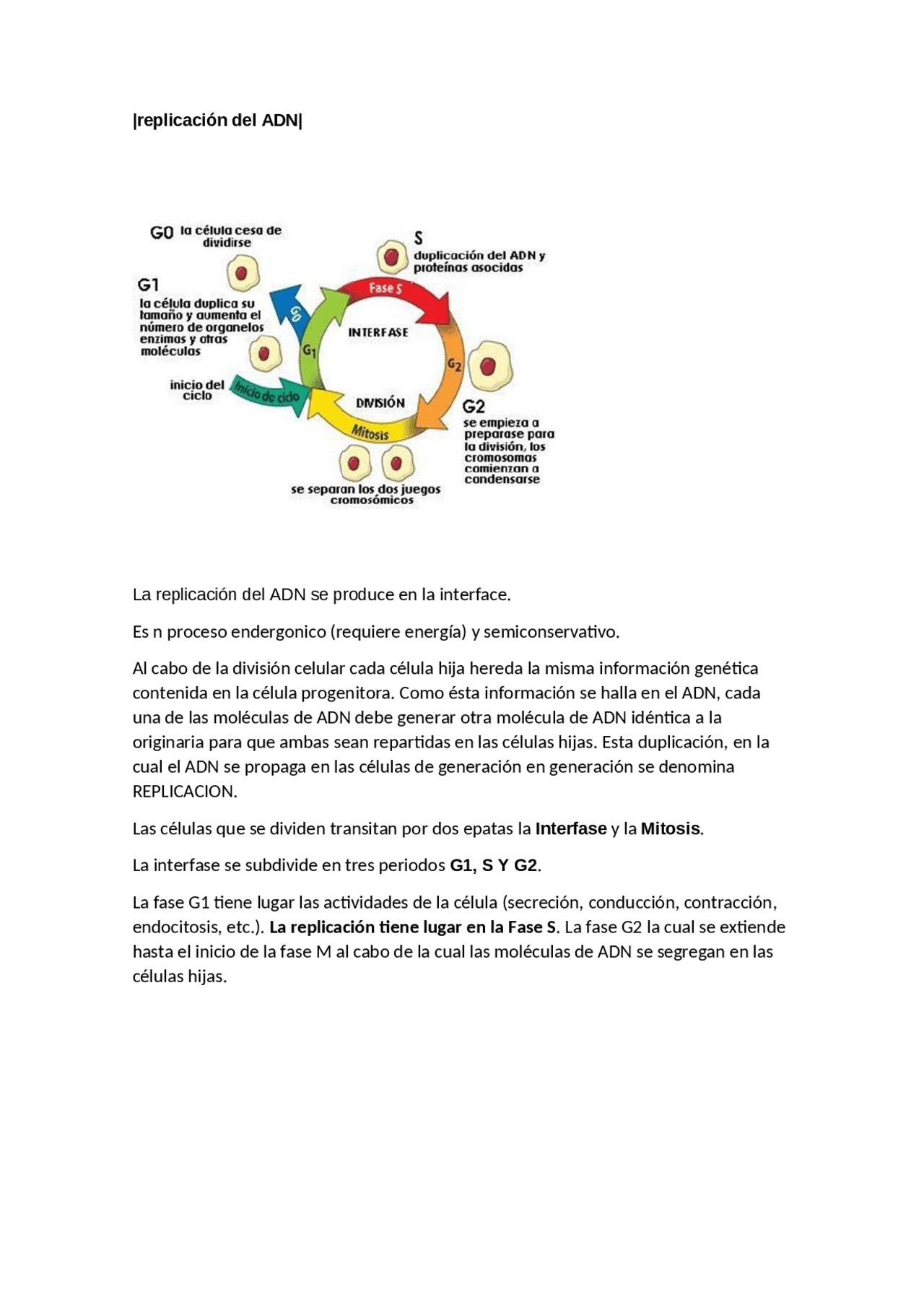 Replicacion del ADN biologia celular | Resúmenes de Biología Celular ...