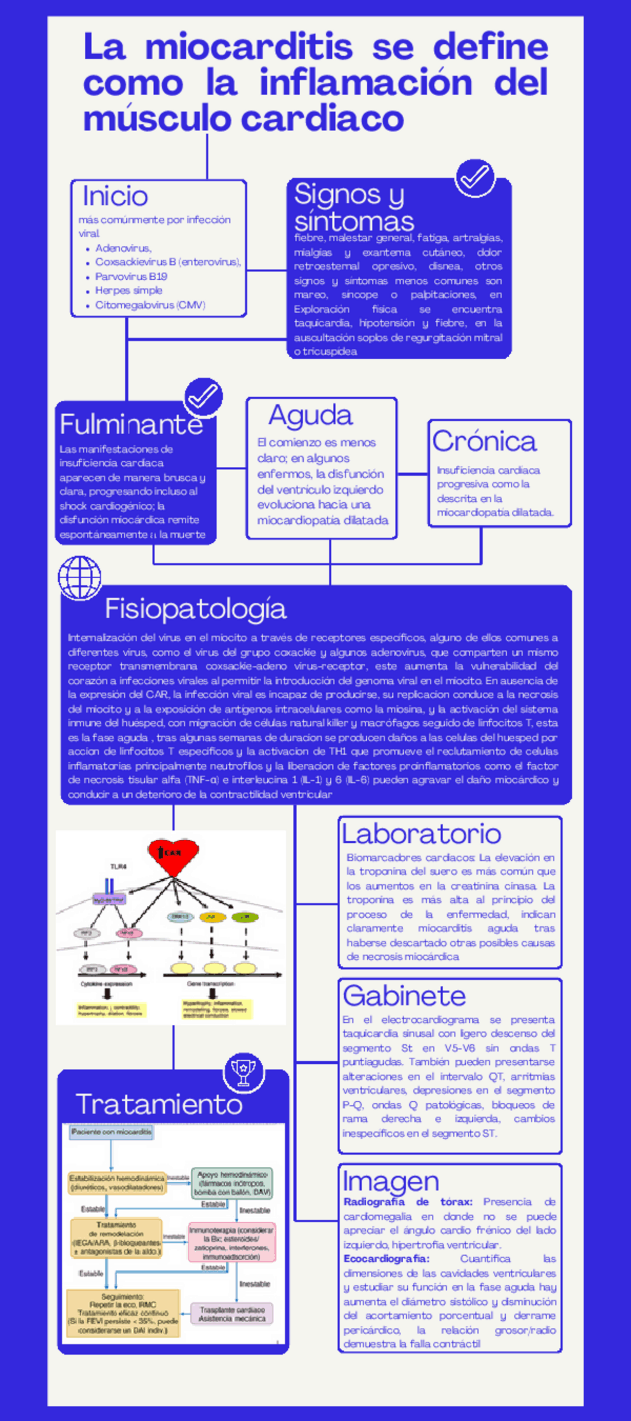 Miocarditis infografia | Apuntes de Microbiología | Docsity