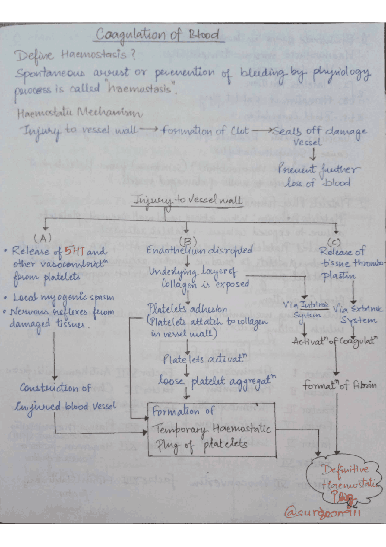 Coagulation of Blood Study Notes | Study notes Nursing | Docsity
