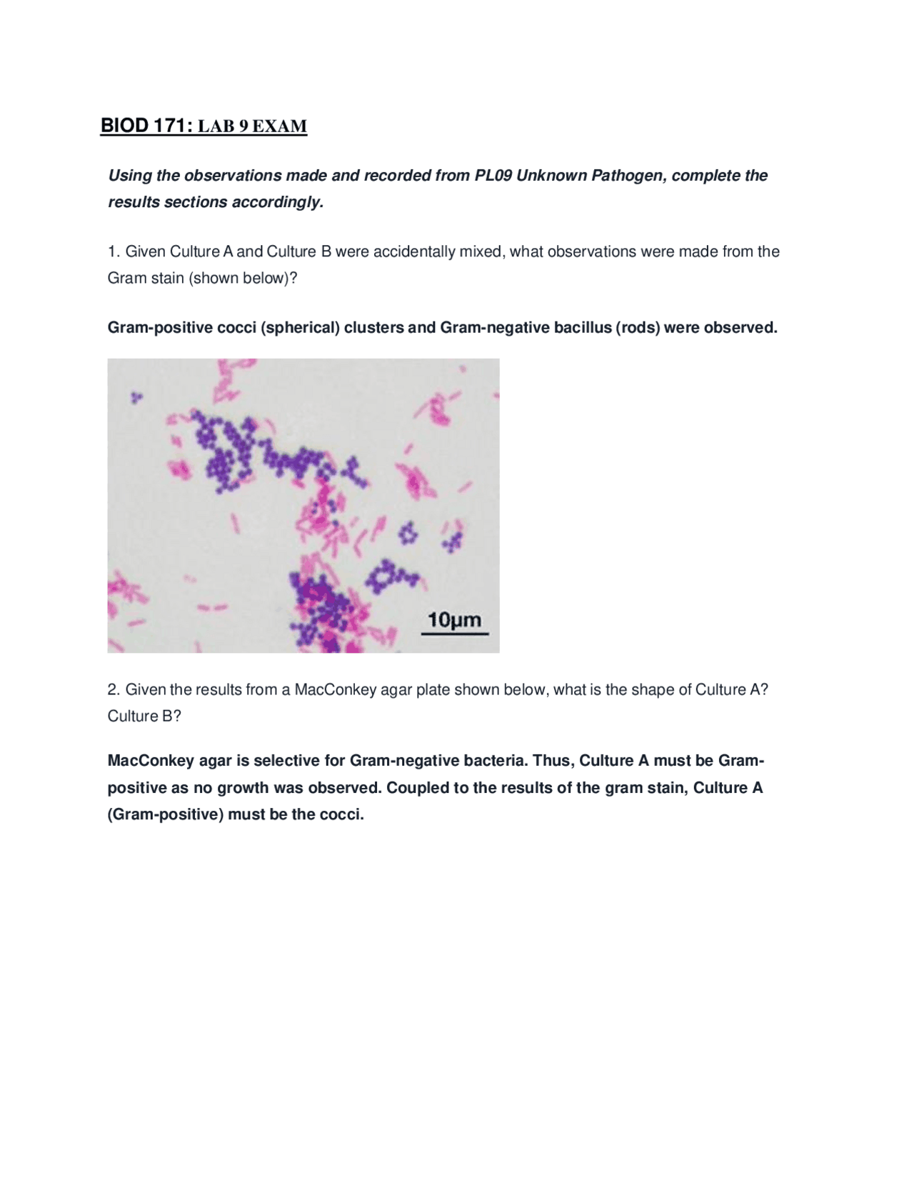 BIOD 171/Microbiology Lab 9 Exam Portage Learning | Exams Nursing | Docsity