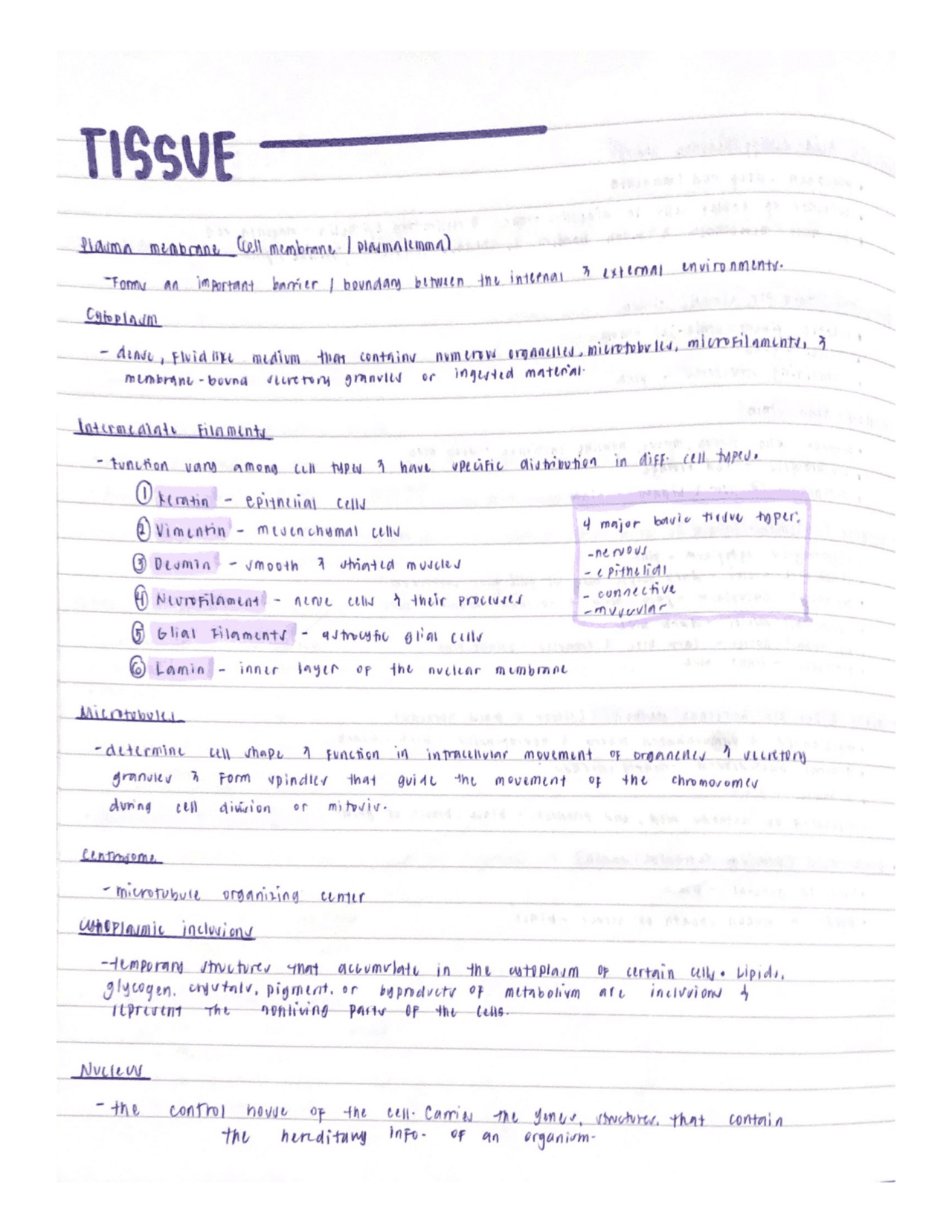 Tissues Classifications Functions And Pathologic Terms Lecture