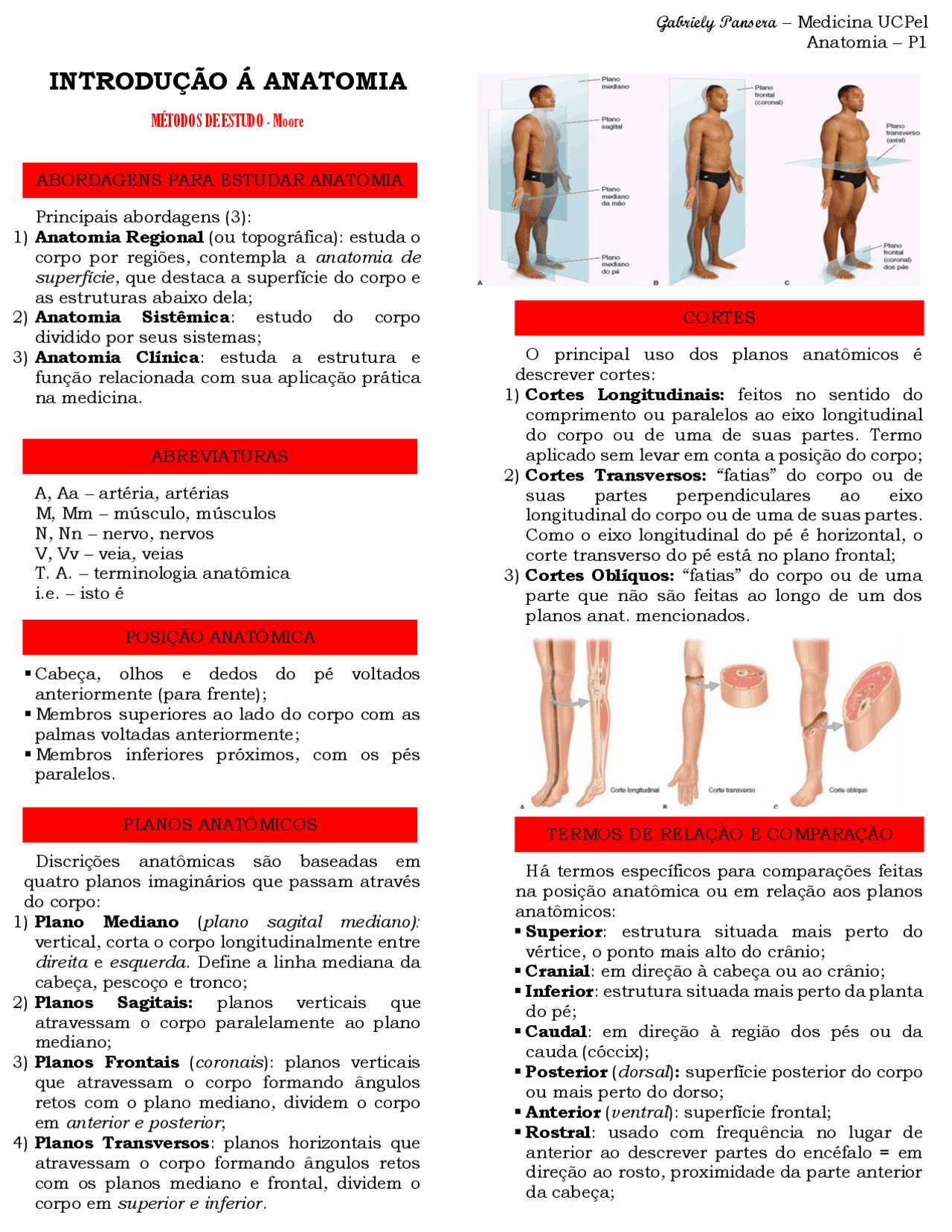 Introdução A Anatomia Resumos Anatomia Docsity