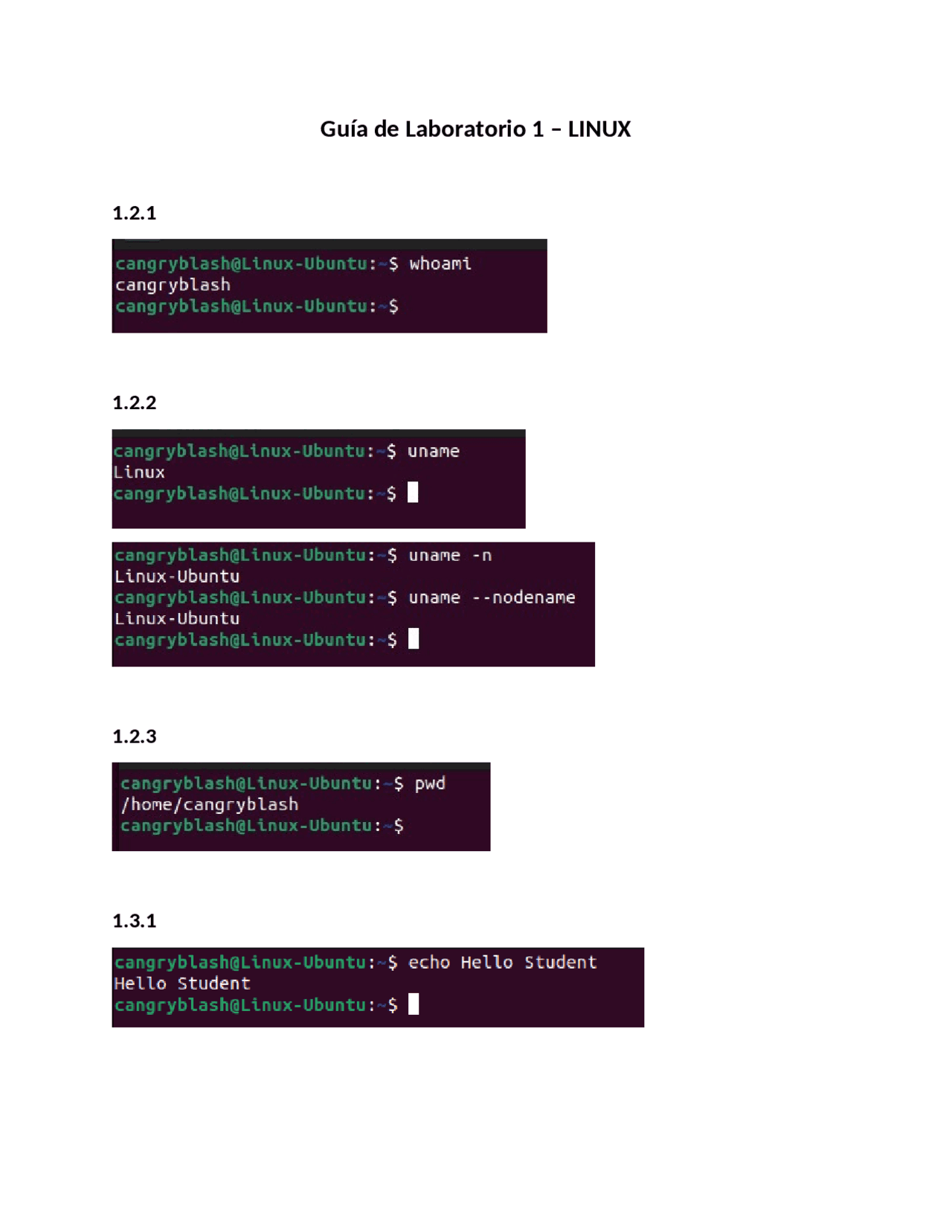 Guia 1 basa en las especificaciones para realizarla | Ejercicios de Competencias en Linux | Docsity