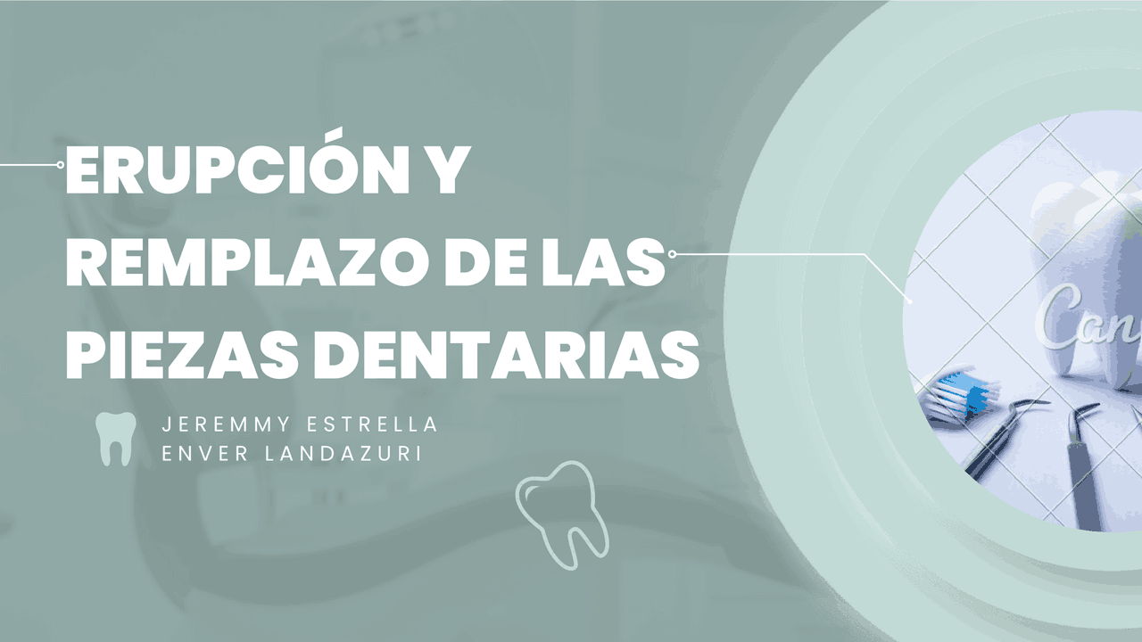 Histología Primer Semestre Diapositivas De Histología Docsity