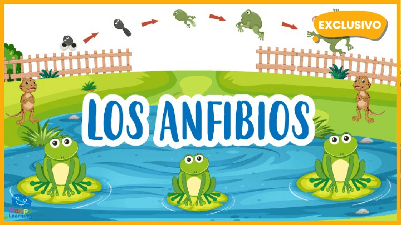 LOS ANFIBIOS Y REPTILES | Diapositivas de Ciencias de la Educación ...
