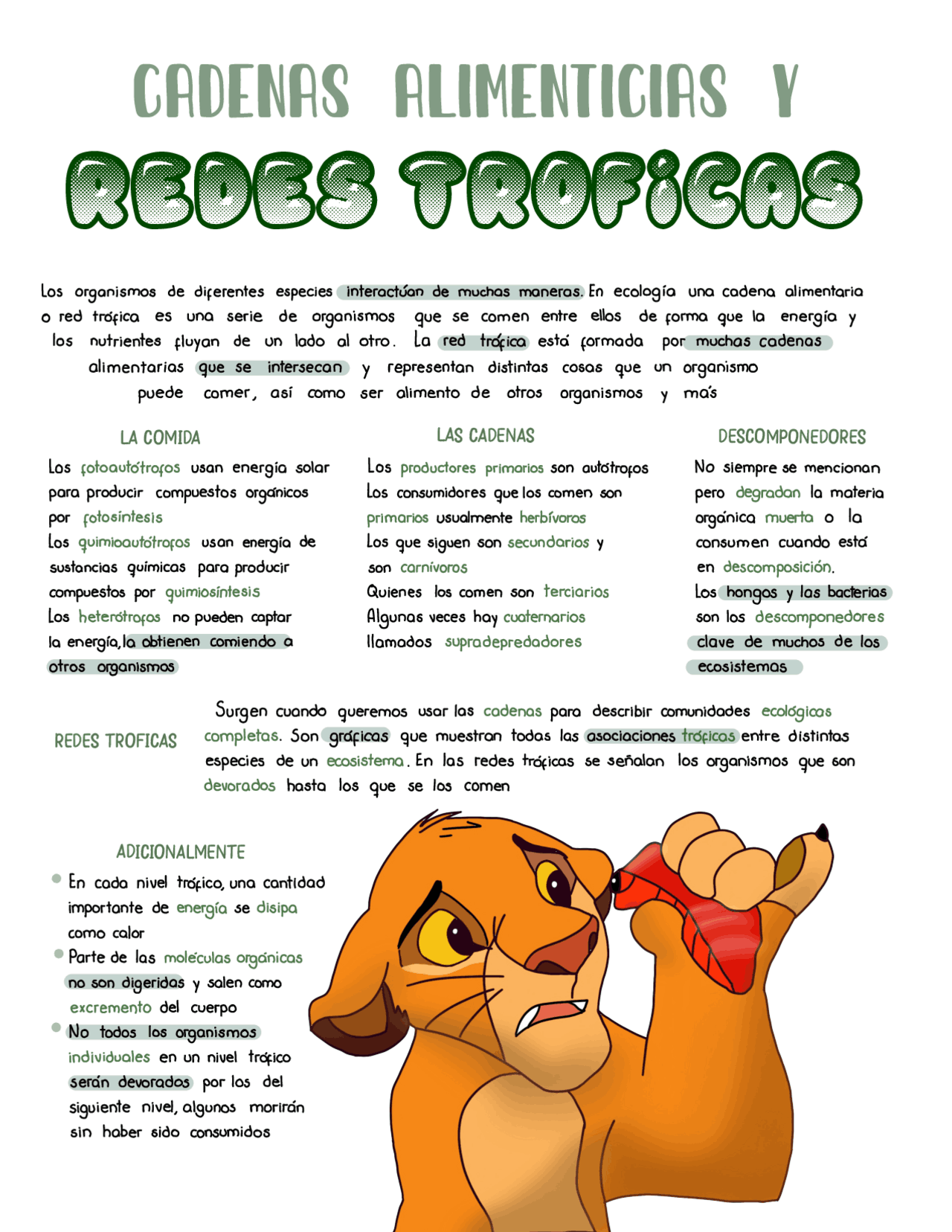 Las cadenas alimenticias y redes tróficas | Apuntes de Biología | Docsity