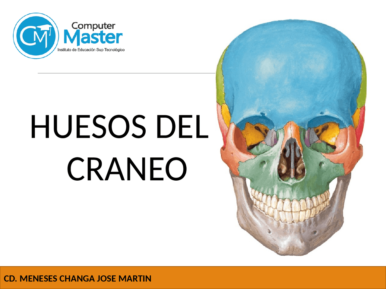 Planos Y Ejes Del Cuerpo Diapositivas De Anatomía Aplicada Docsity
