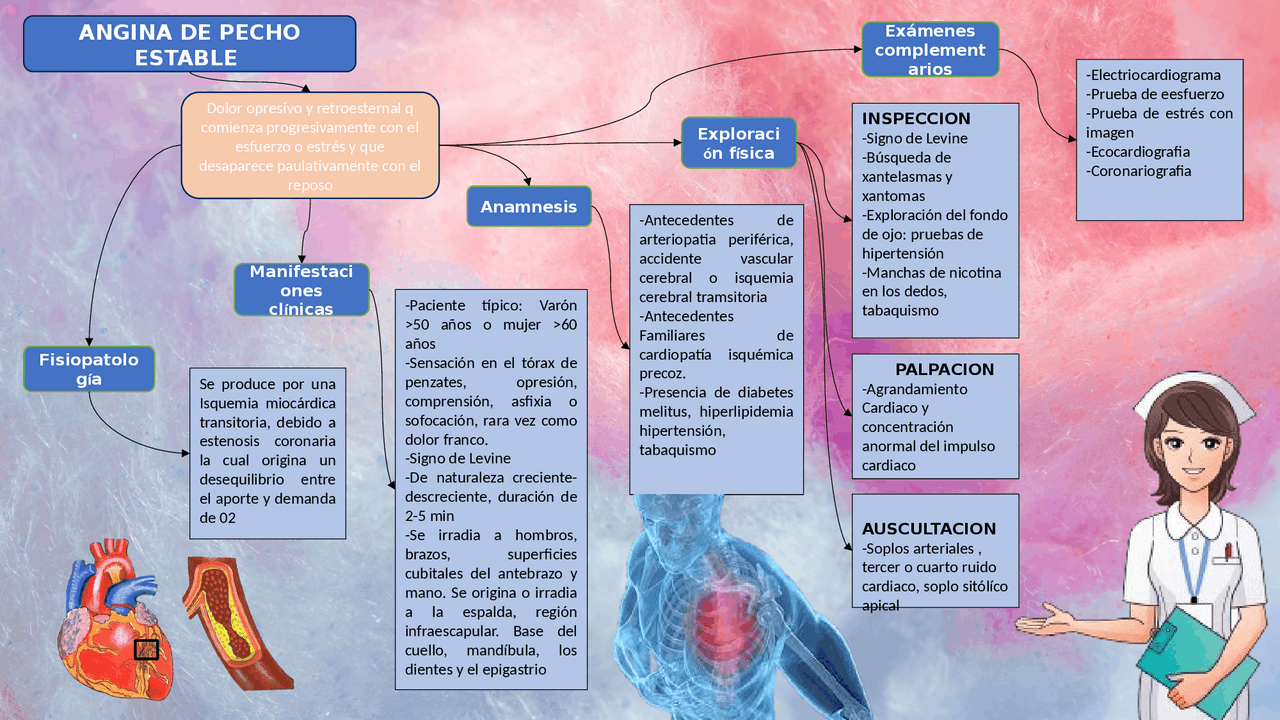 ANGINA DE PECHO mapa | Esquemas y mapas conceptuales de Medicina | Docsity
