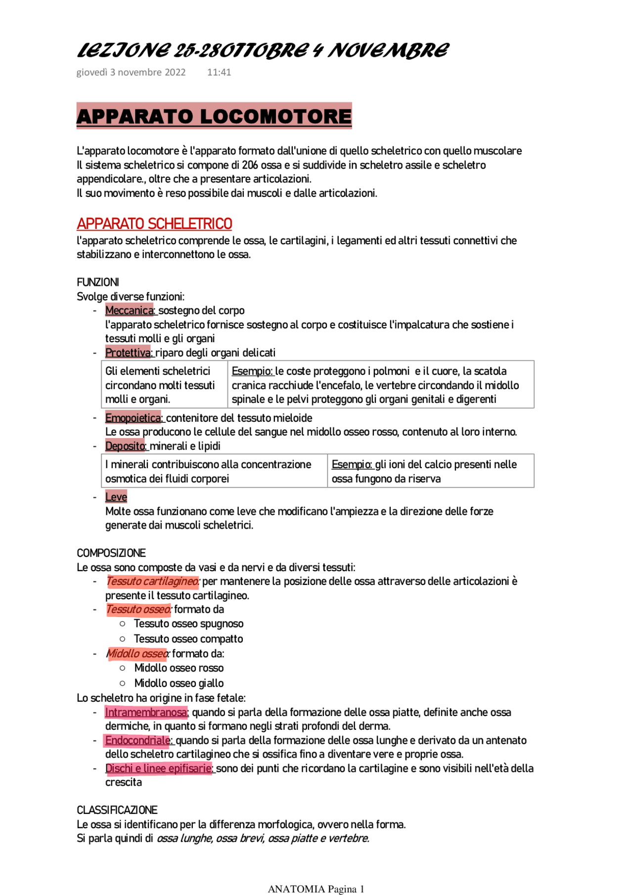 Anatomia Apparato Locomotore Appunti Di Anatomia Docsity