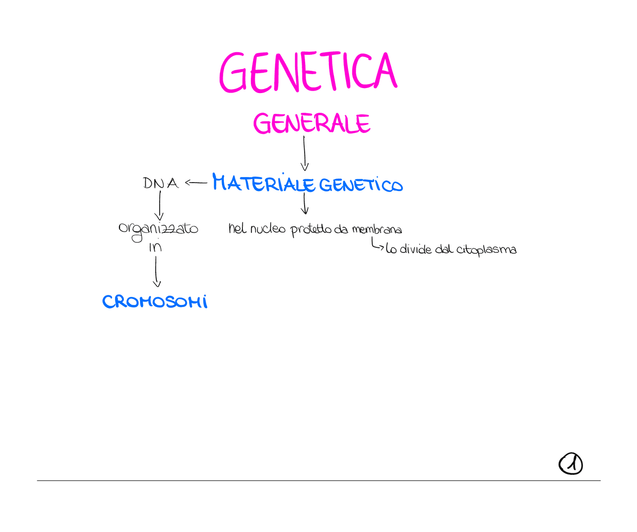 mappe concettuali genetica DSA | Schemi e mappe concettuali di Genetica ...