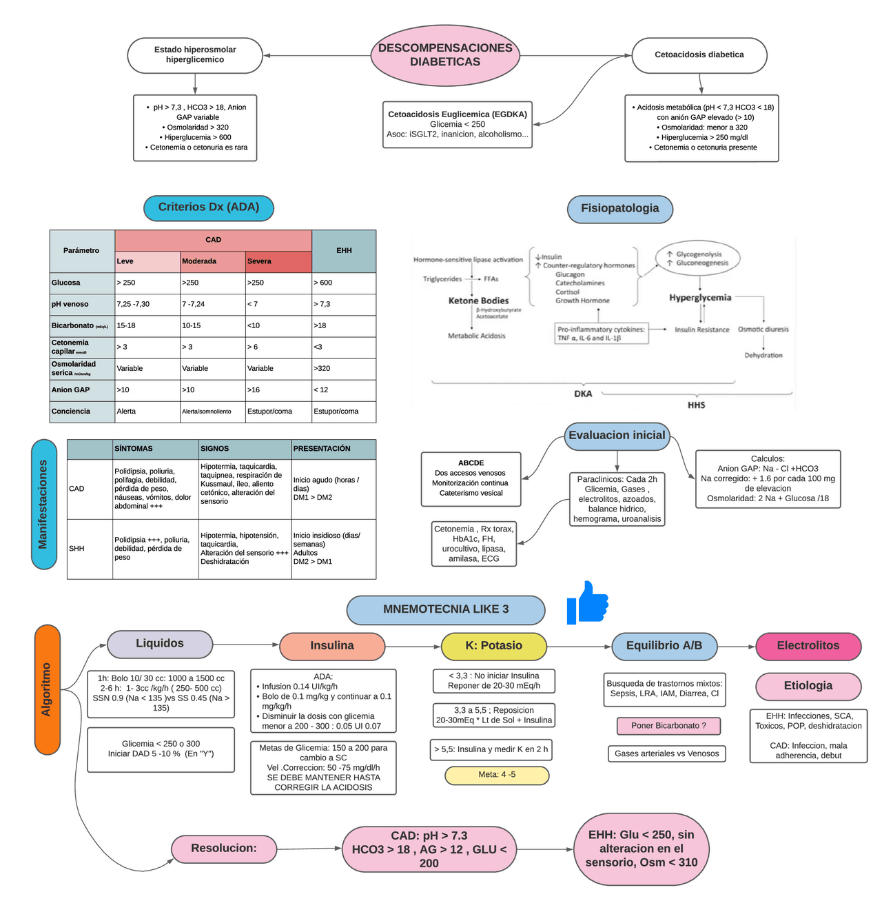 Mapa conceptual. Descompensaciones diabéticas: CAD y SHH | Apuntes de ...