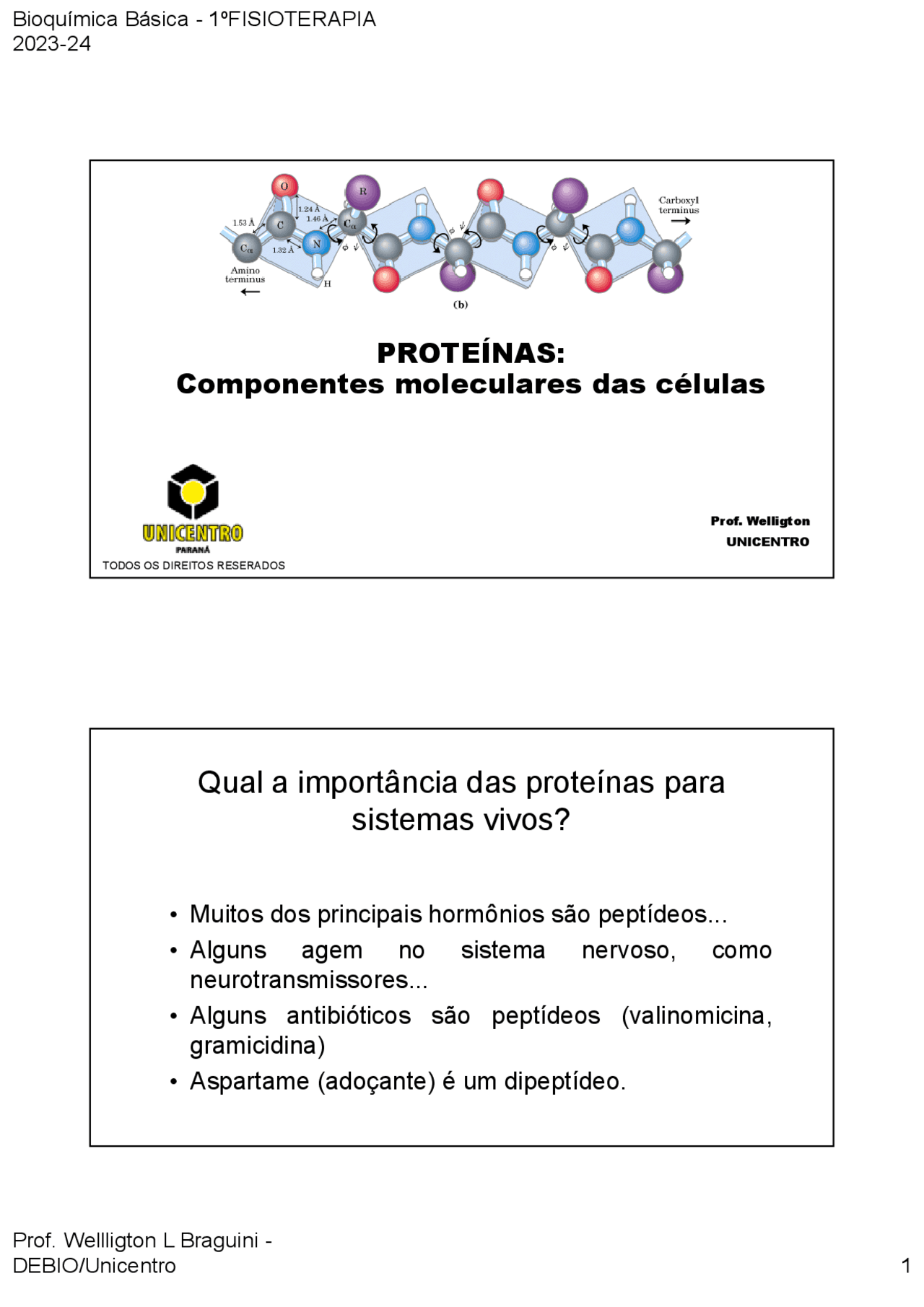 Bioquímica proteínas aminoácidos | Esquemas Bioquímica | Docsity