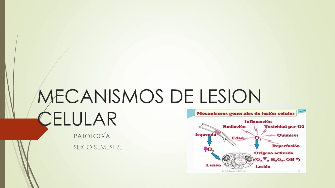 Mecanismos De La Lesion Celular Resúmenes De Fisiopatología Docsity