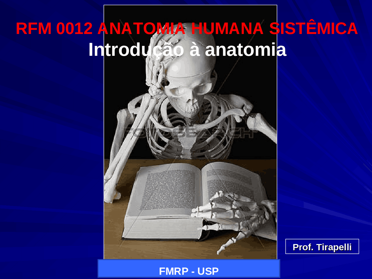 IntroduÇÃo A Anatomia Humana Resumos Anatomia Docsity