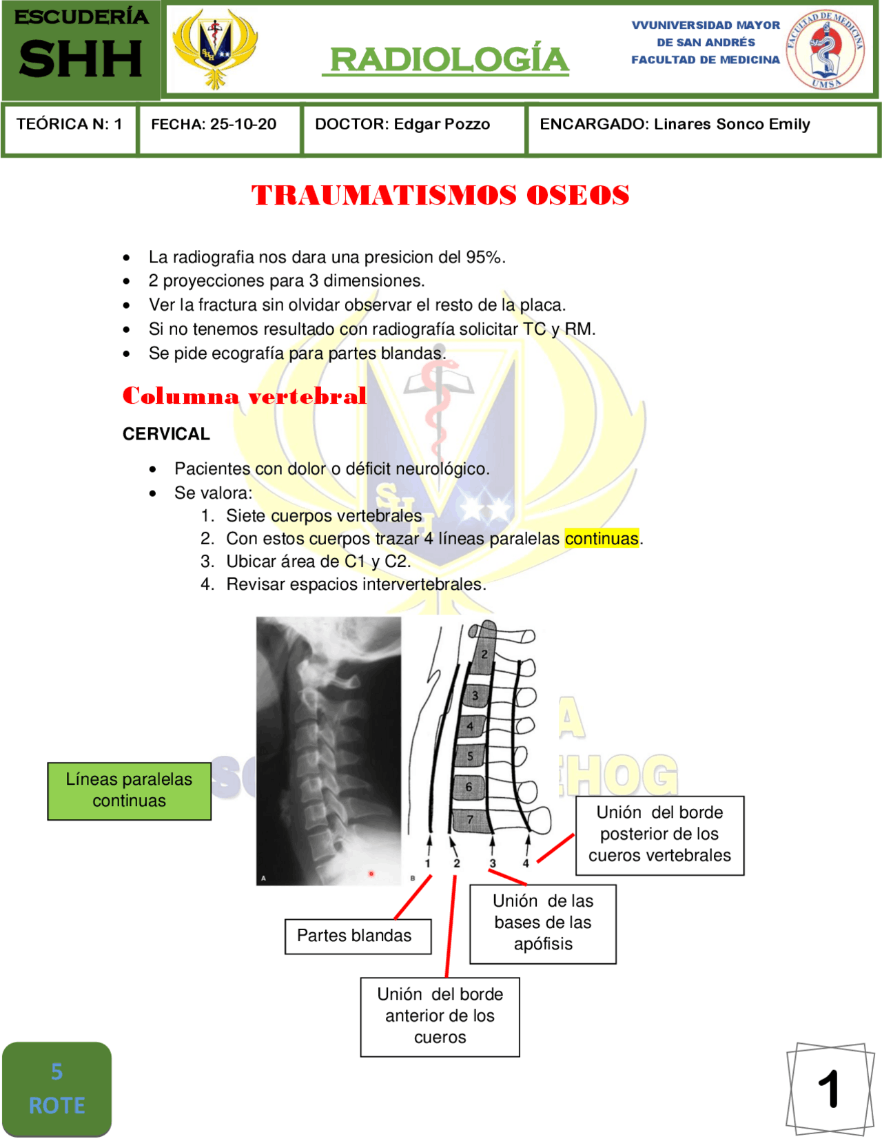Radiología de traumatismos de cráneo | Transcripciones de Radiología ...
