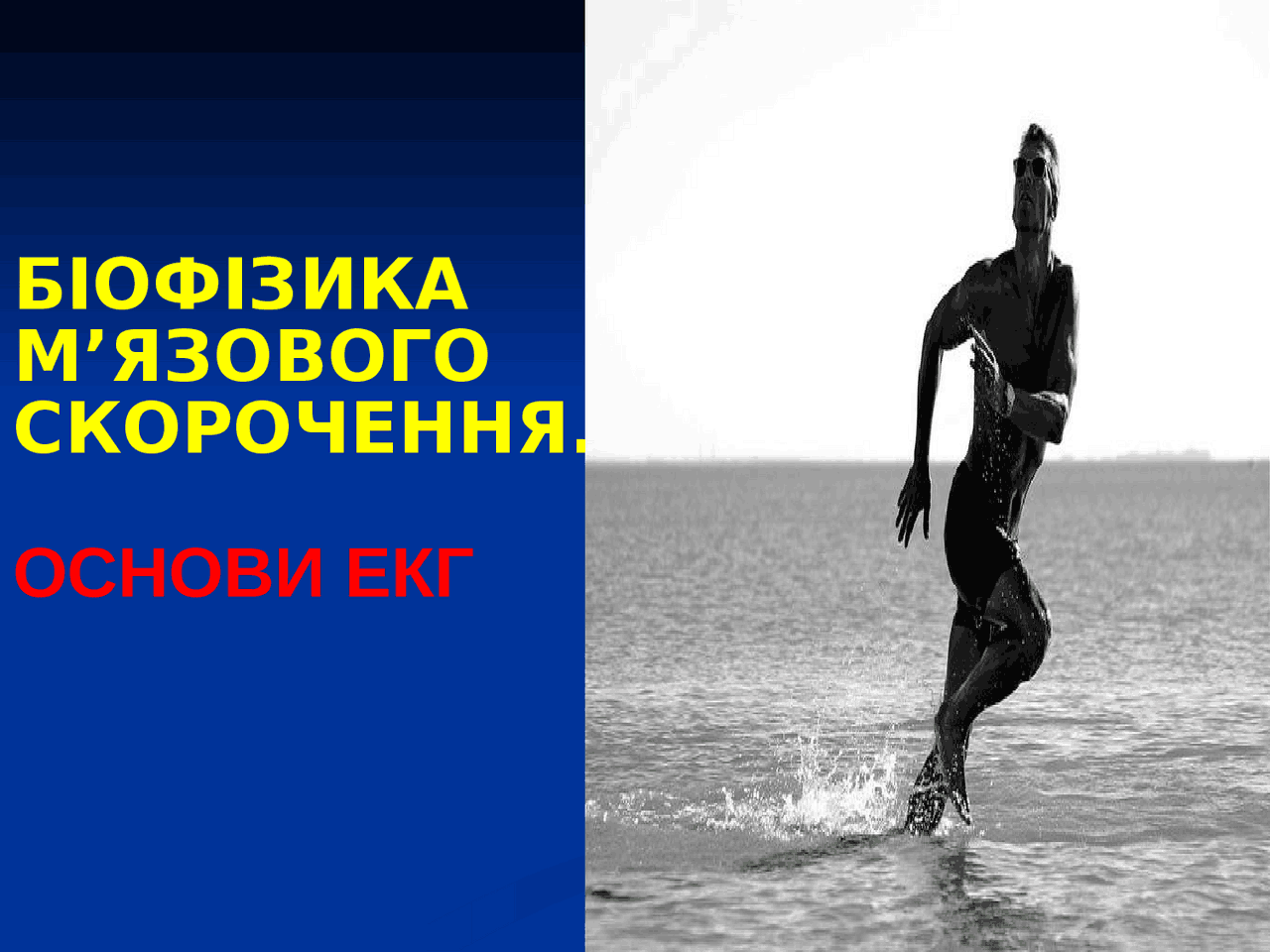 Лекция биофизика БІОФІЗИКА МʼЯЗОВОГО СКОРОЧЕННЯ Презентации