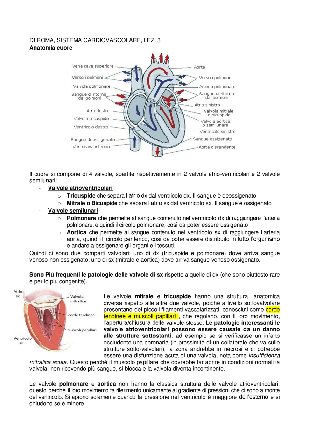 Valvola Semilunare Polmonare