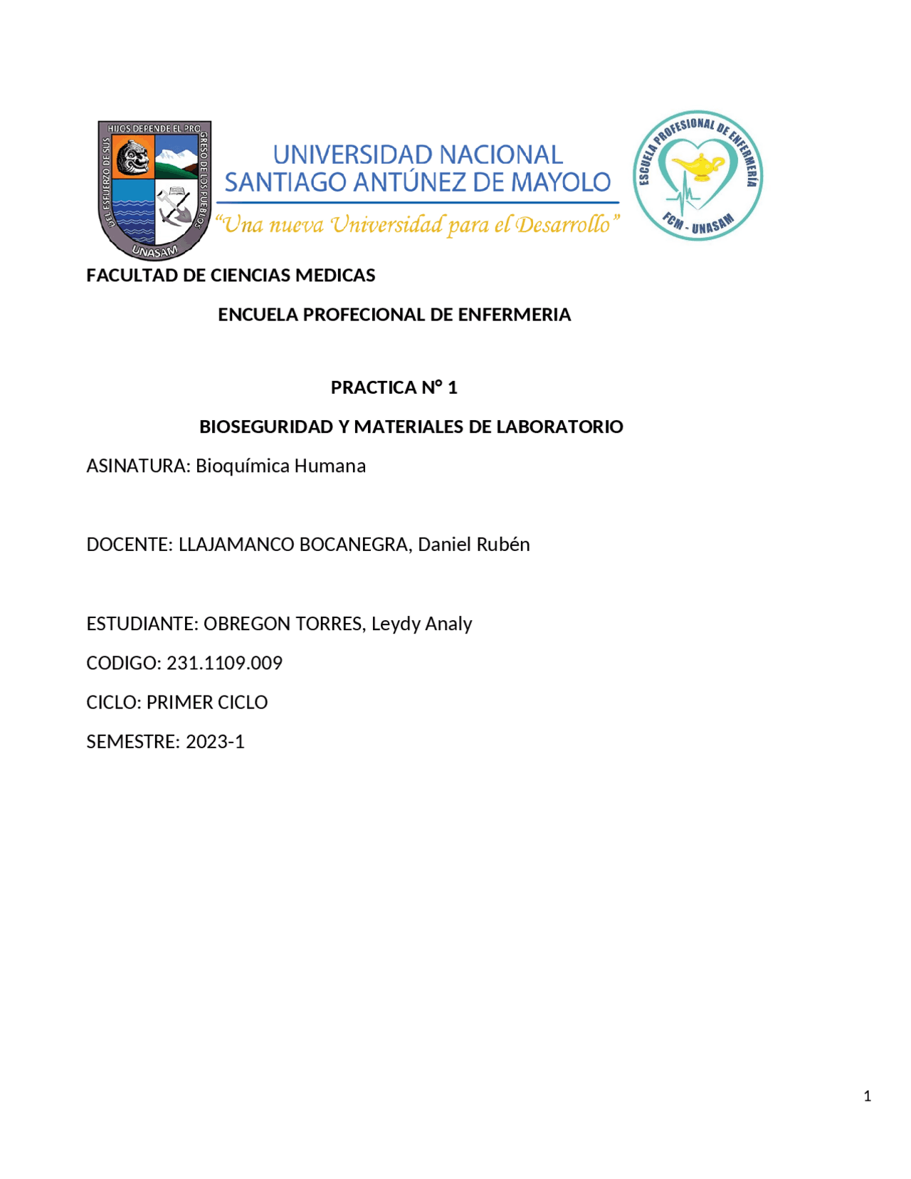 Bioseguridad Laboratorio Apuntes De Bioética Docsity