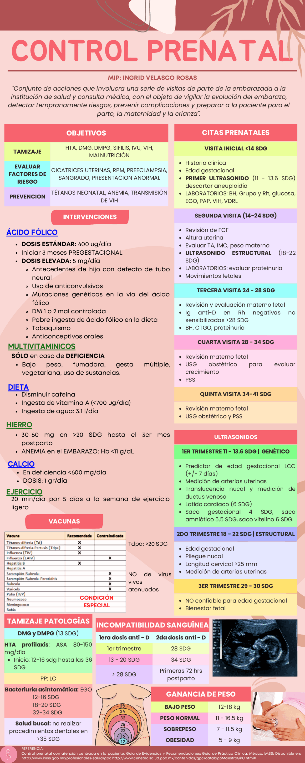 INFOGRAFÍA DE CONTROL PRENATAL | Esquemas y mapas conceptuales de ...