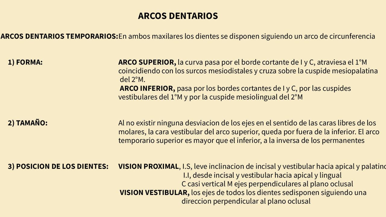 Anatomia Diapositivas Diapositivas De Anatomía Docsity