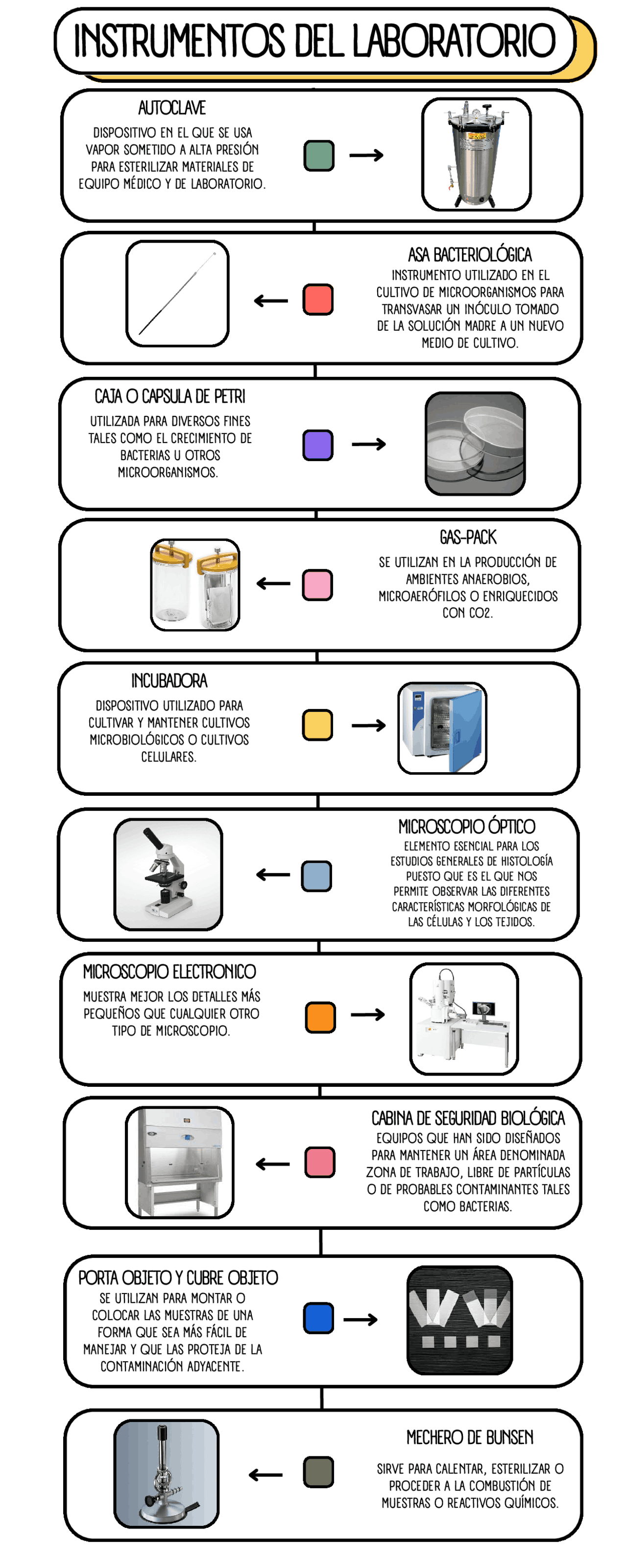 Instrumento De Laboratorio Ejercicios De Microbiología Docsity