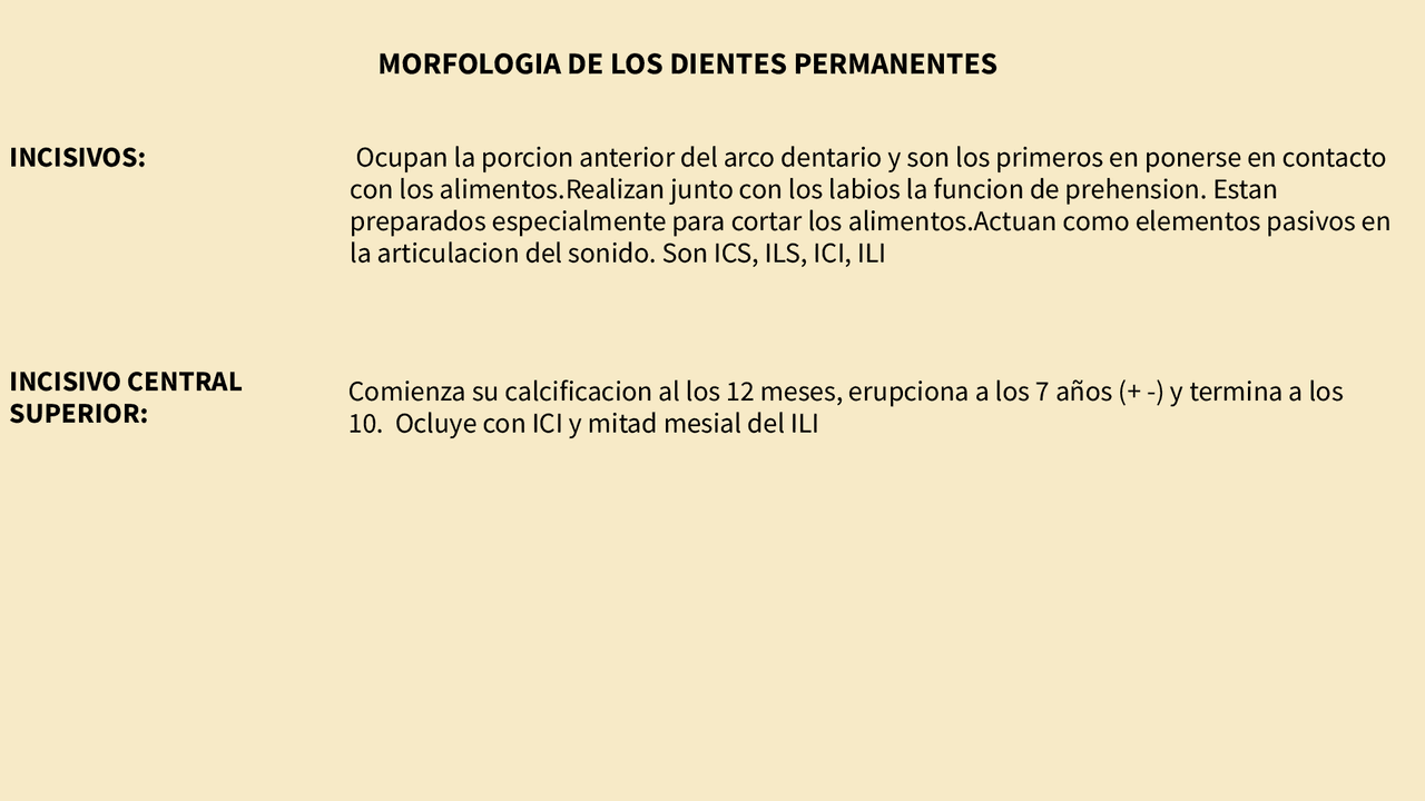 Anatomia Diapositivas Diapositivas De Anatomía Docsity