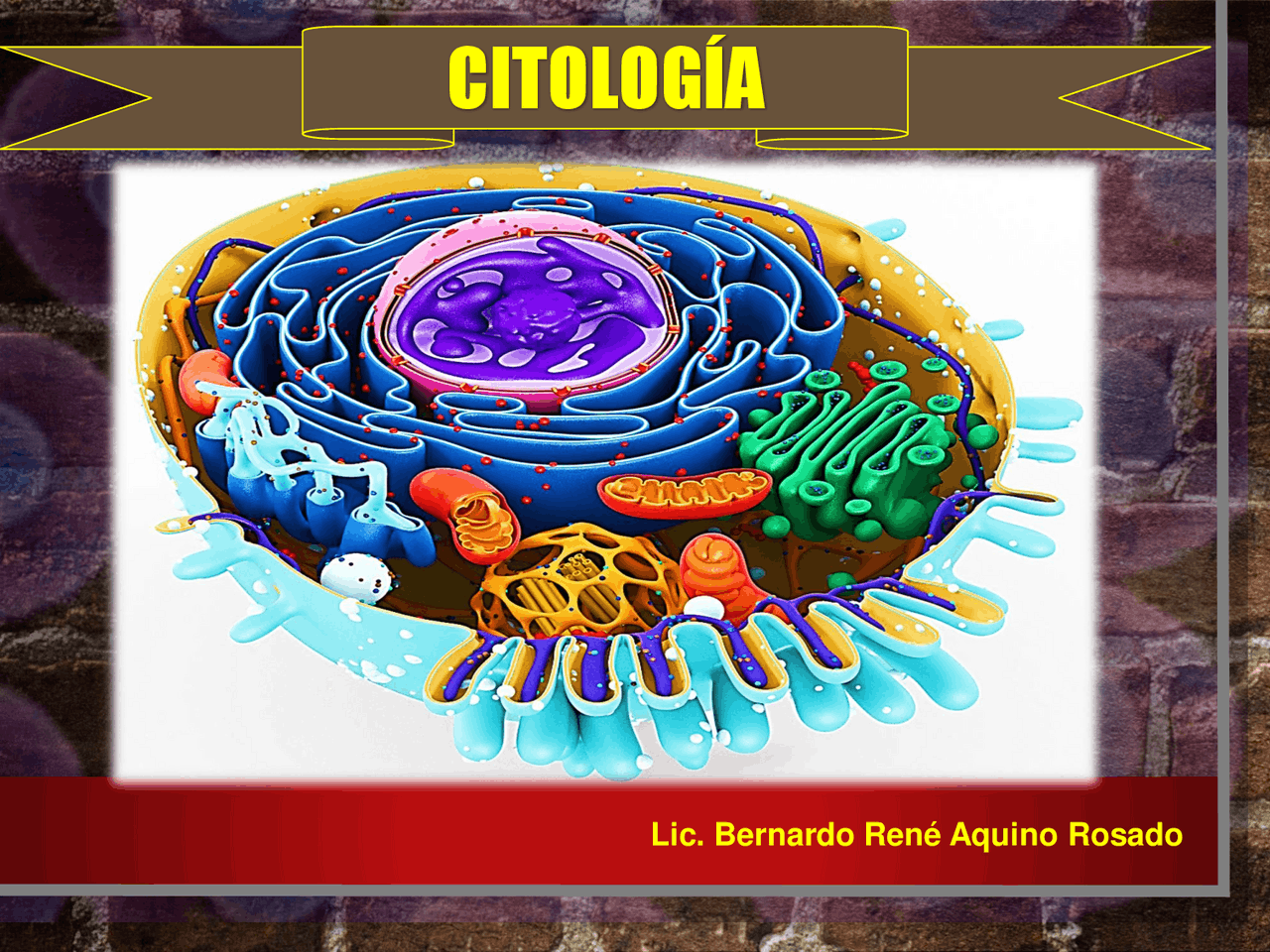 Citología celur humana | Resúmenes de Anatomía | Docsity