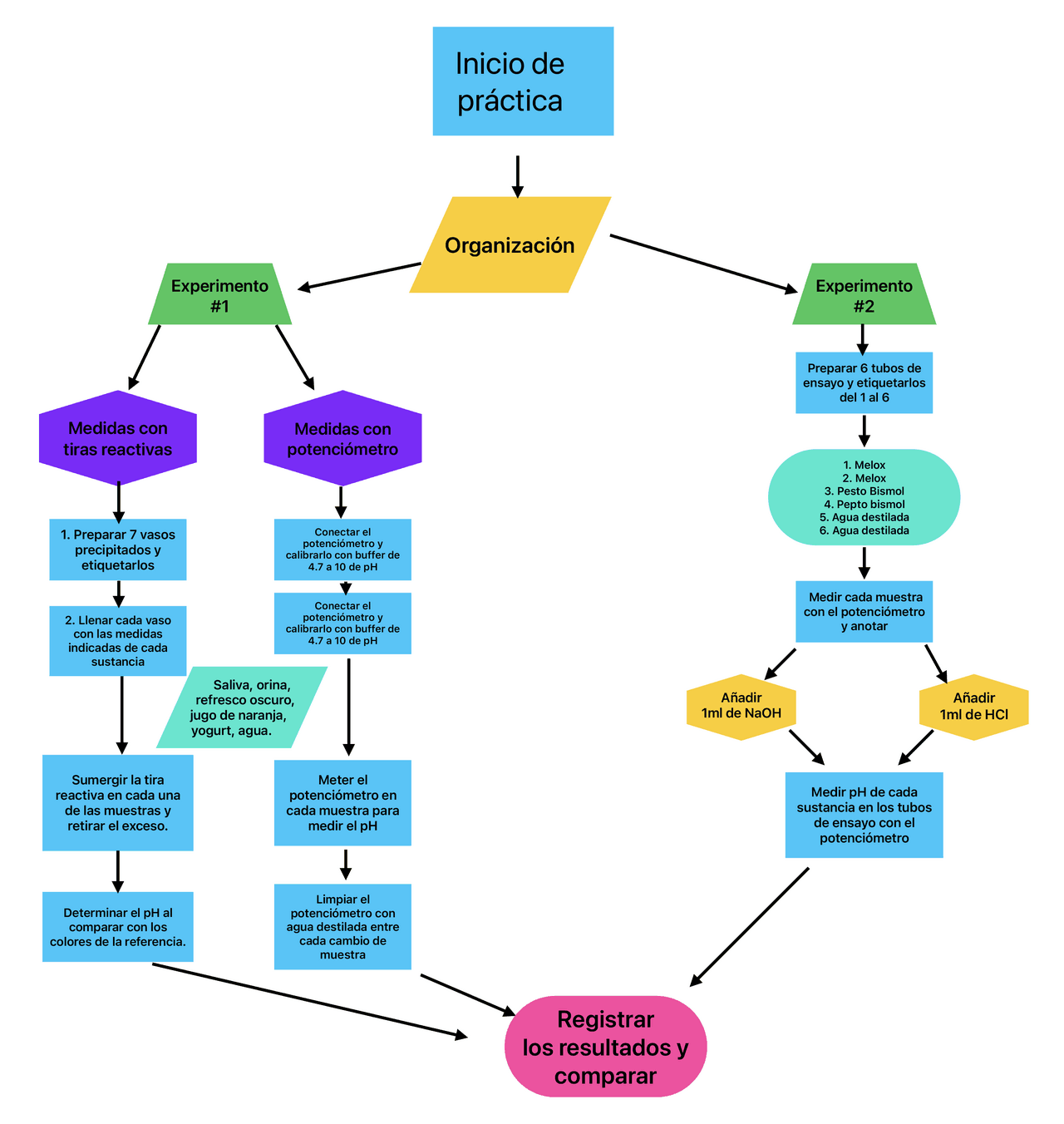 Diagrama de flujo de práctica | Apuntes de Bioquímica | Docsity