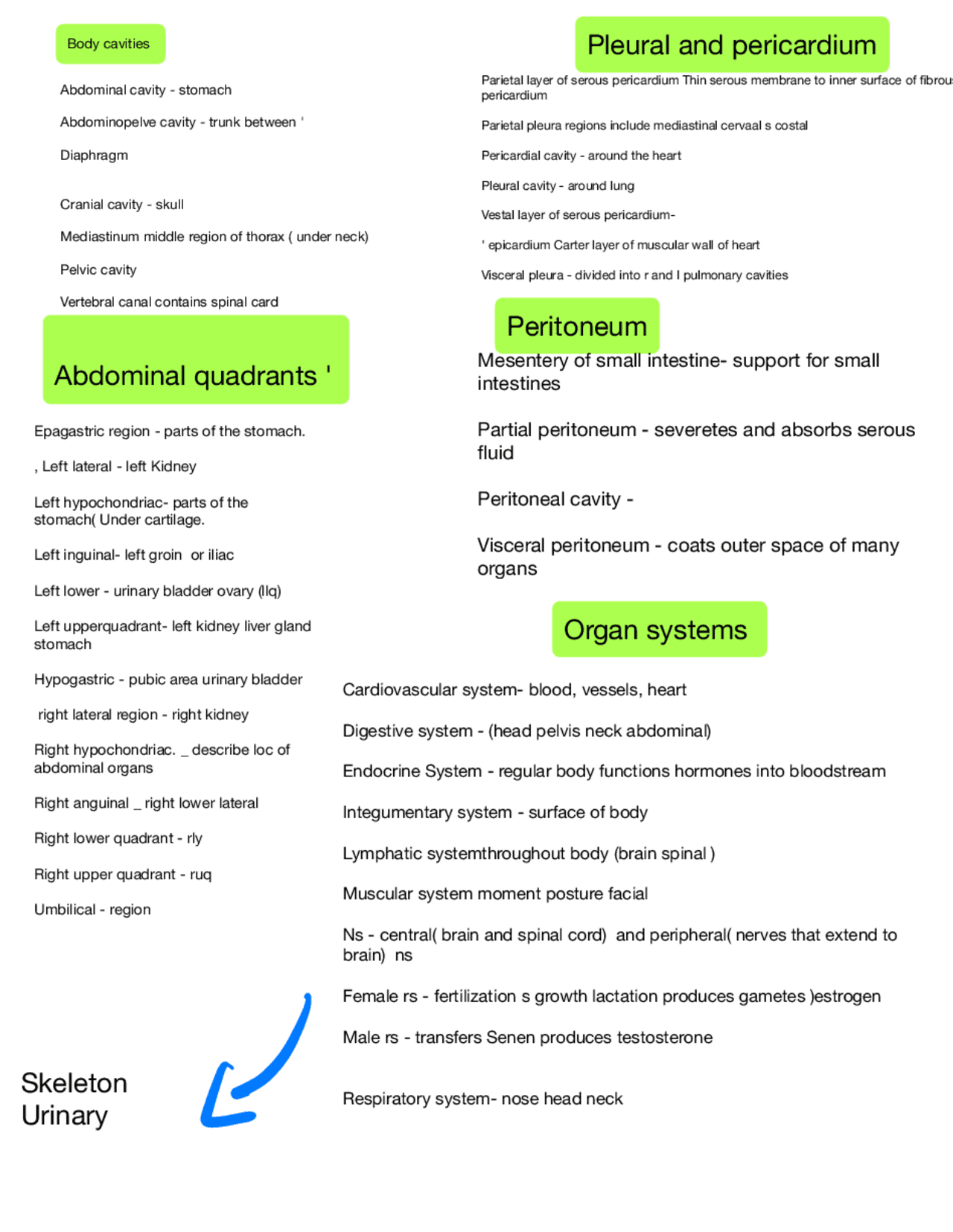 Anatomy and physiology | Cheat Sheet Anatomy | Docsity