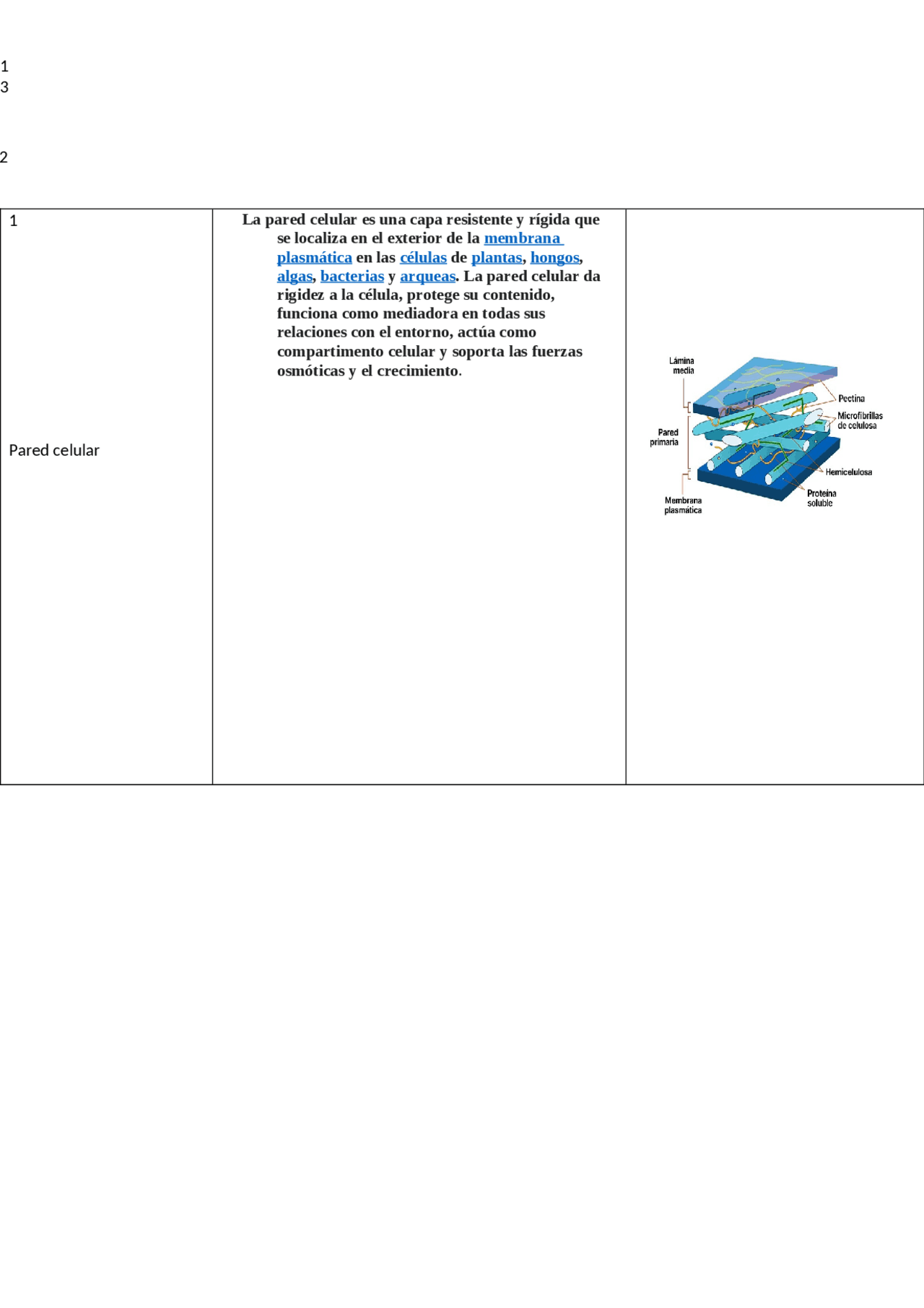 Organelos de la celula | Guías, Proyectos, Investigaciones de Biología ...