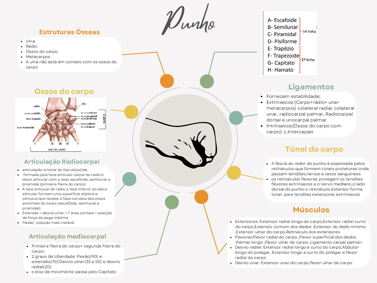 Mapa mental biomecânica do punho e mão | Esquemas Biomecânica | Docsity