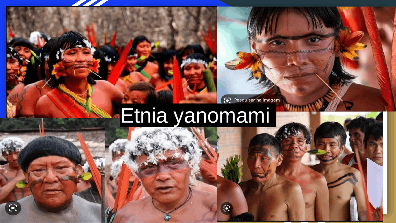 Yanomami sua história | Manuais, Projetos, Pesquisas Matemática | Docsity